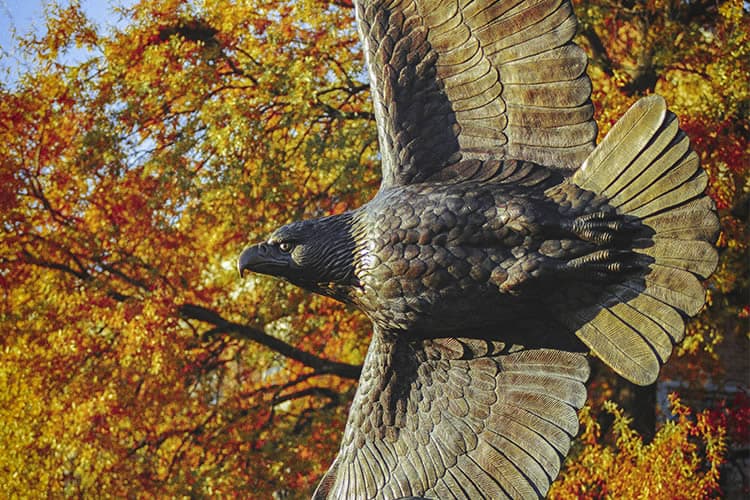 myUNT | University of North Texas