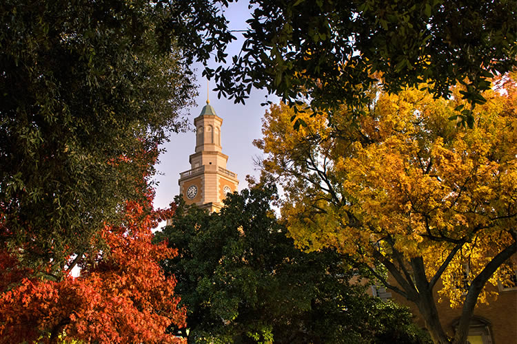 myUNT | University of North Texas